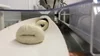 Bagel Rollers: The Masters Behind NYC's Iconic Delicacy — BagelFest