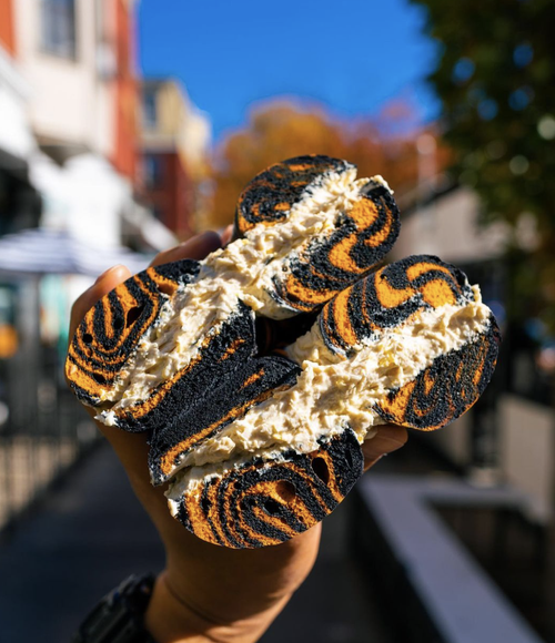 Best Bagels in Brooklyn — BagelFest