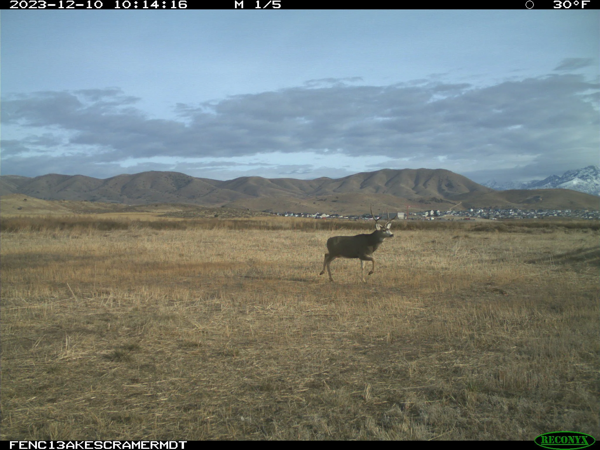 Wildlife Connectivity Institute