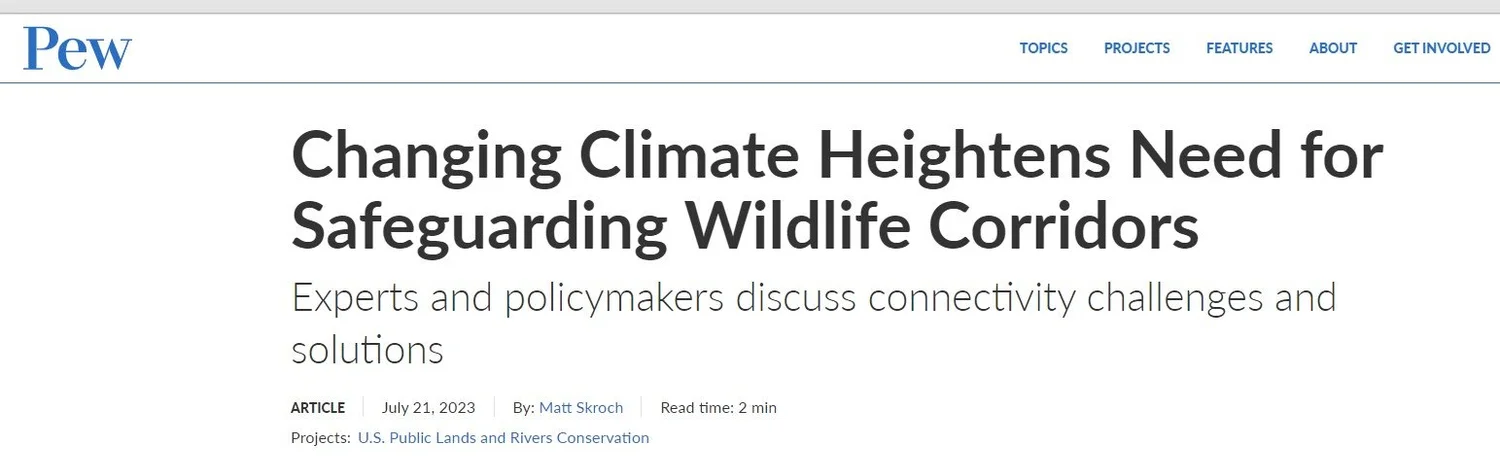 Wildlife Connectivity Institute — Our Story