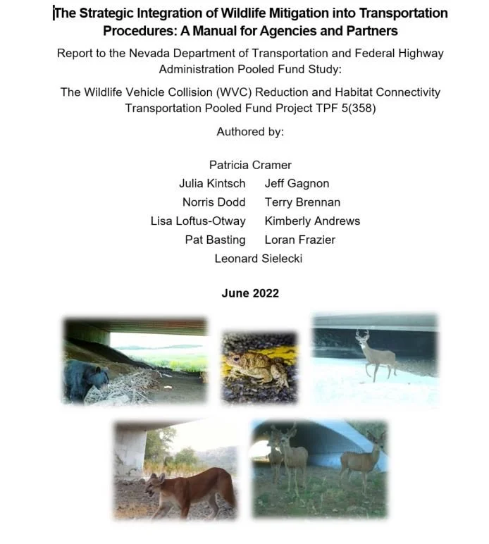 Wildlife Connectivity Institute — Our Story