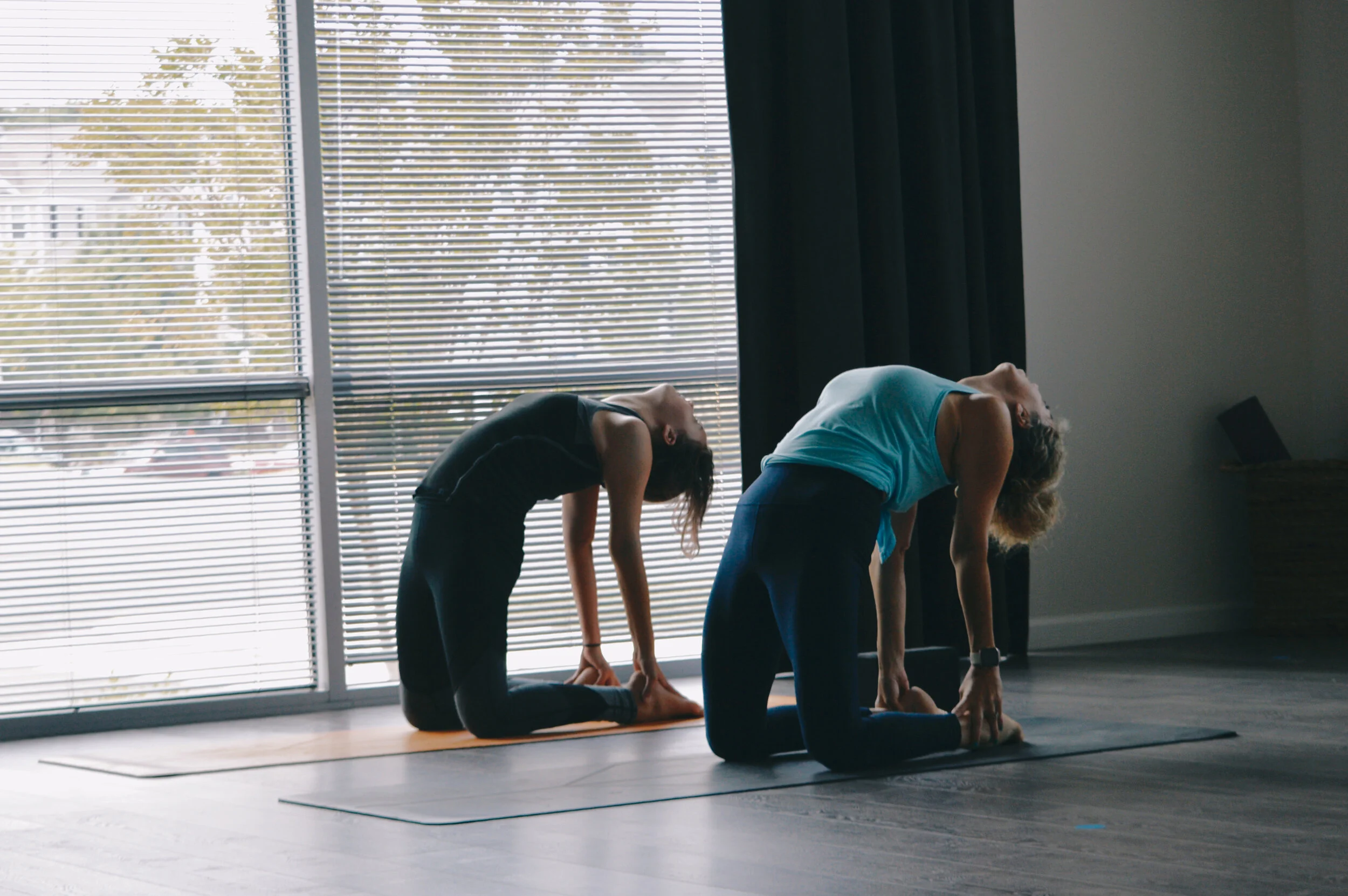 Classes — Yoga Shala