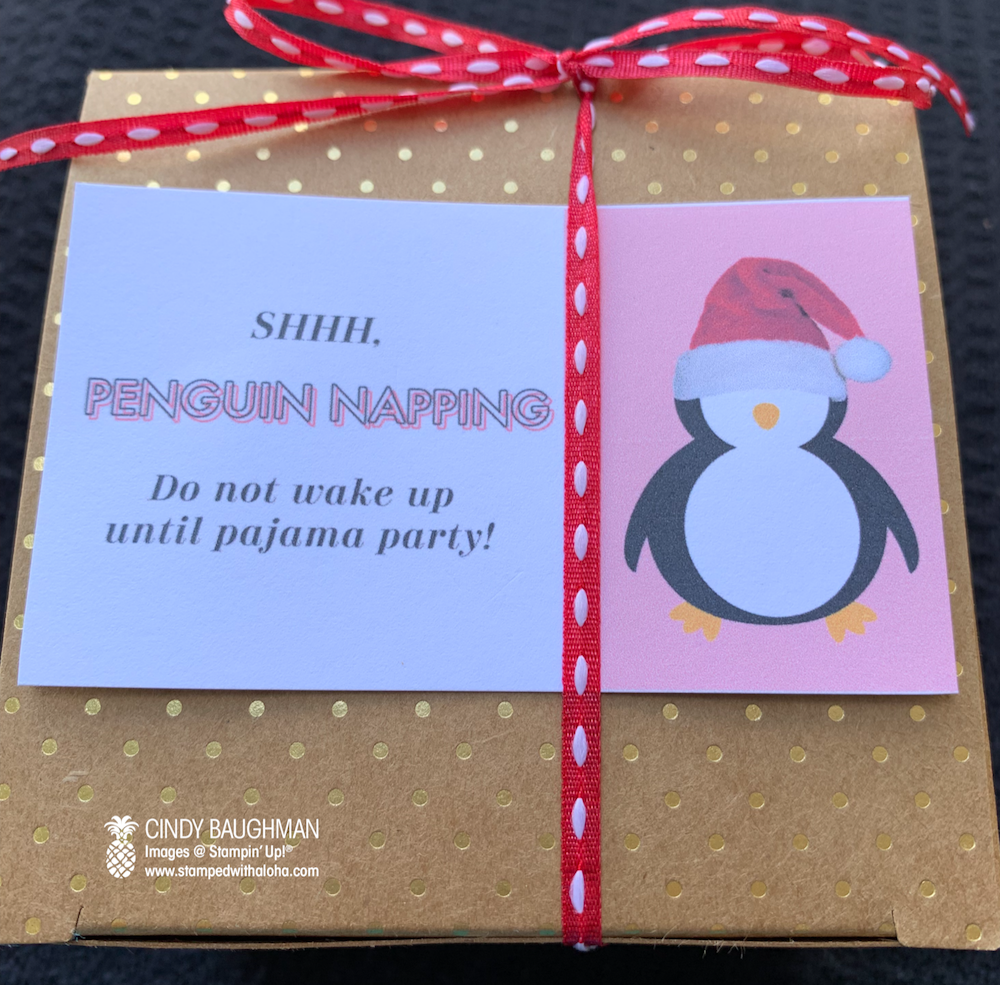 Ideas for Card Making: Penguin Place — Stamped with Aloha