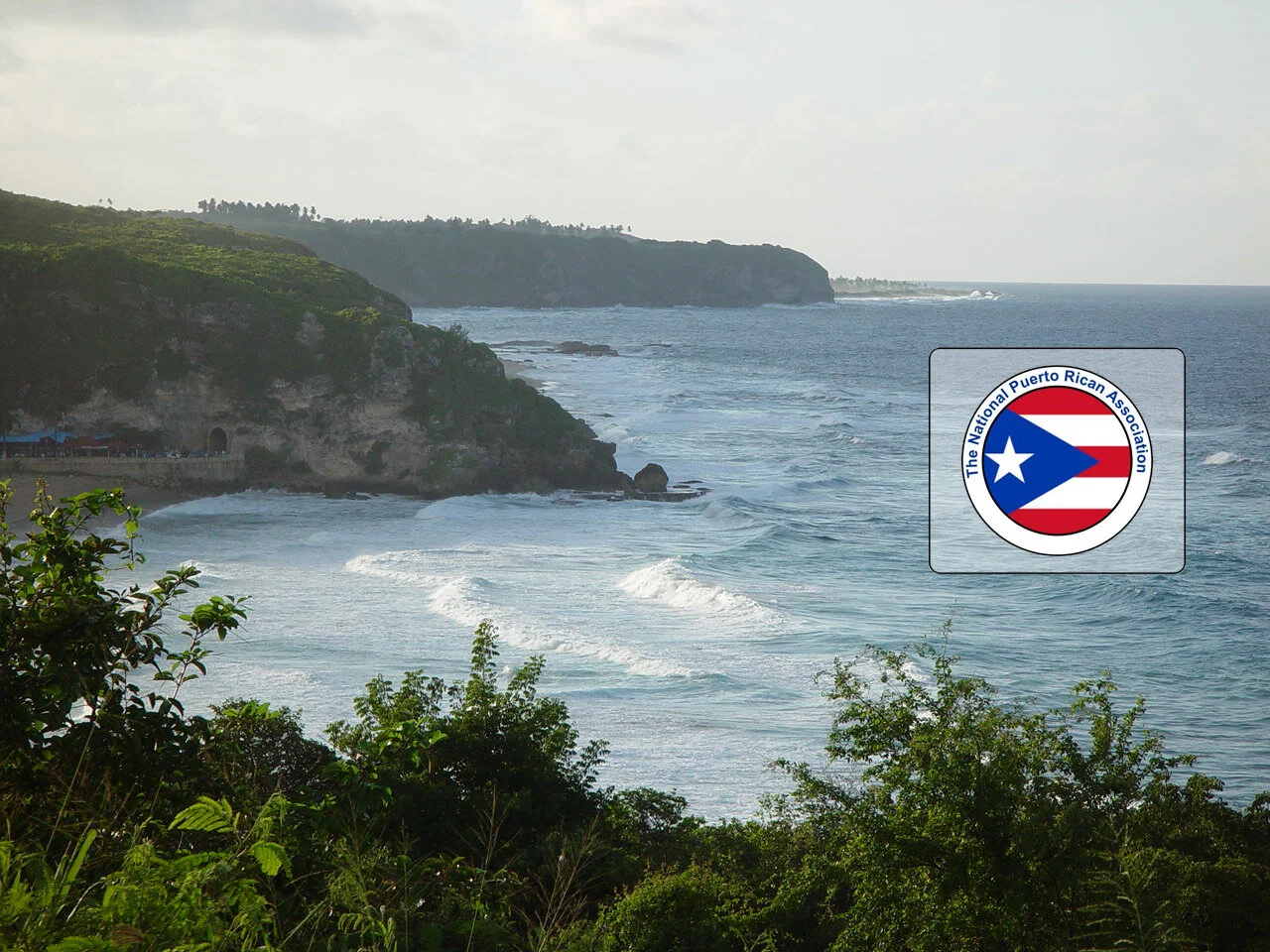 National Puerto Rican Association