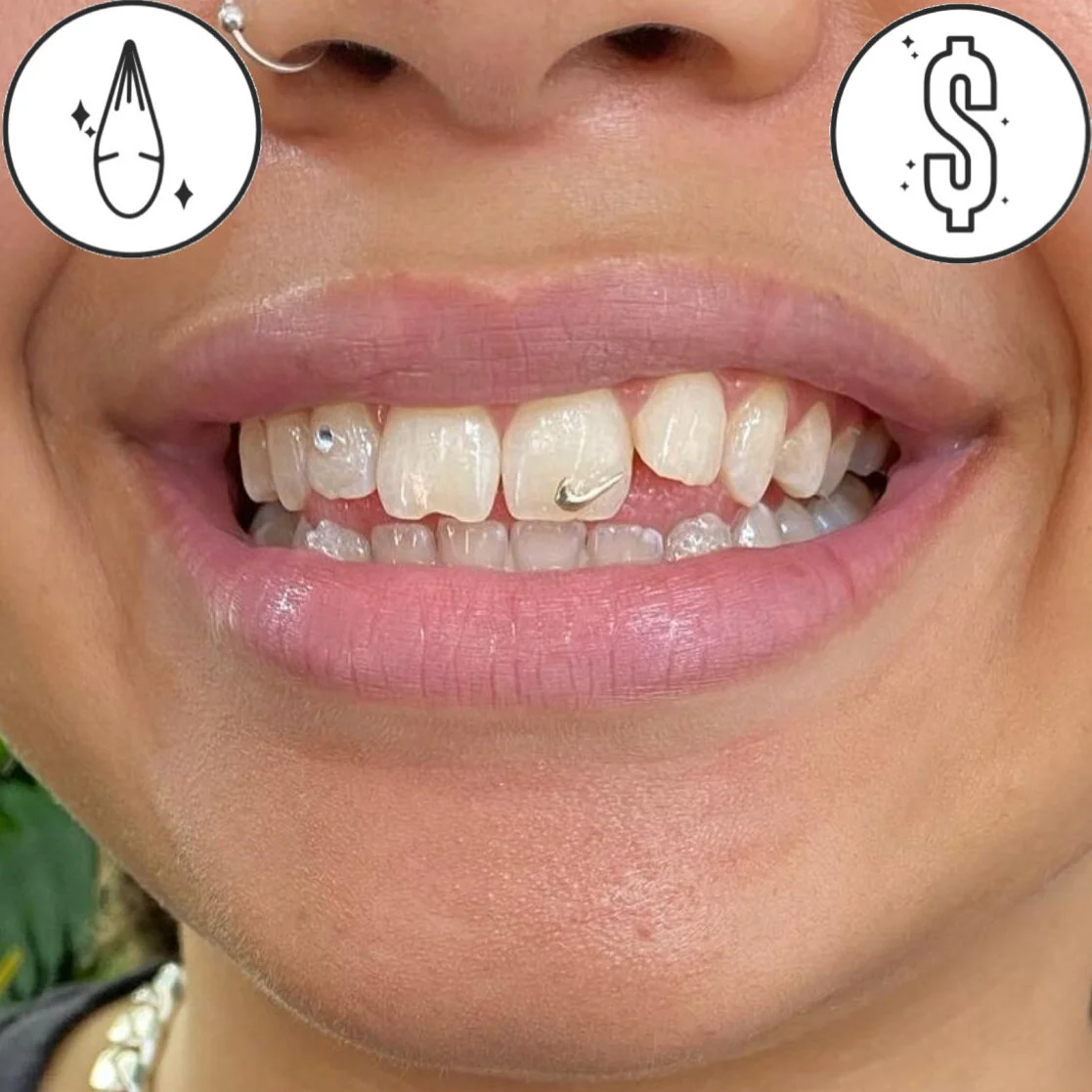 Technicians — Crystal Canine