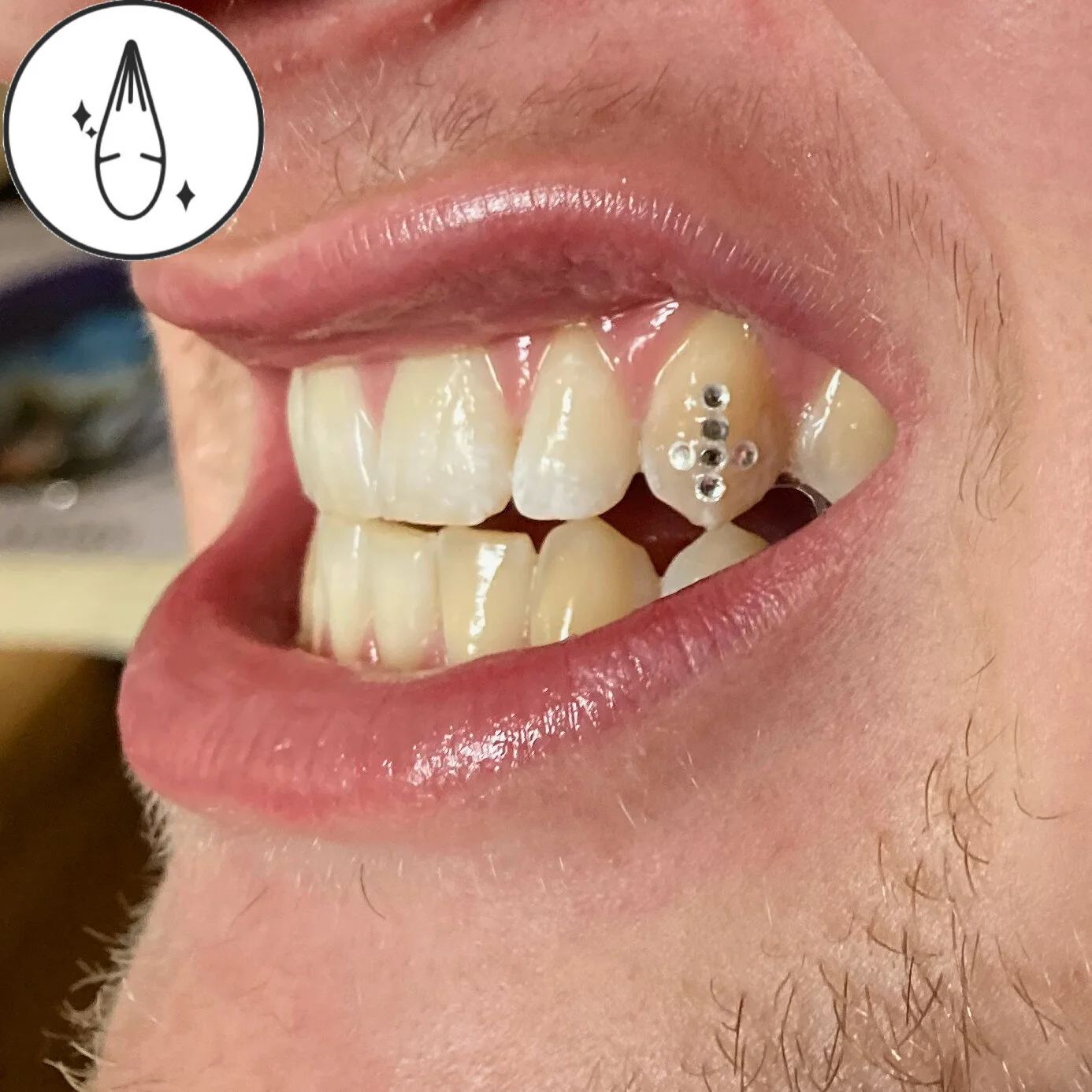 Technicians — Crystal Canine