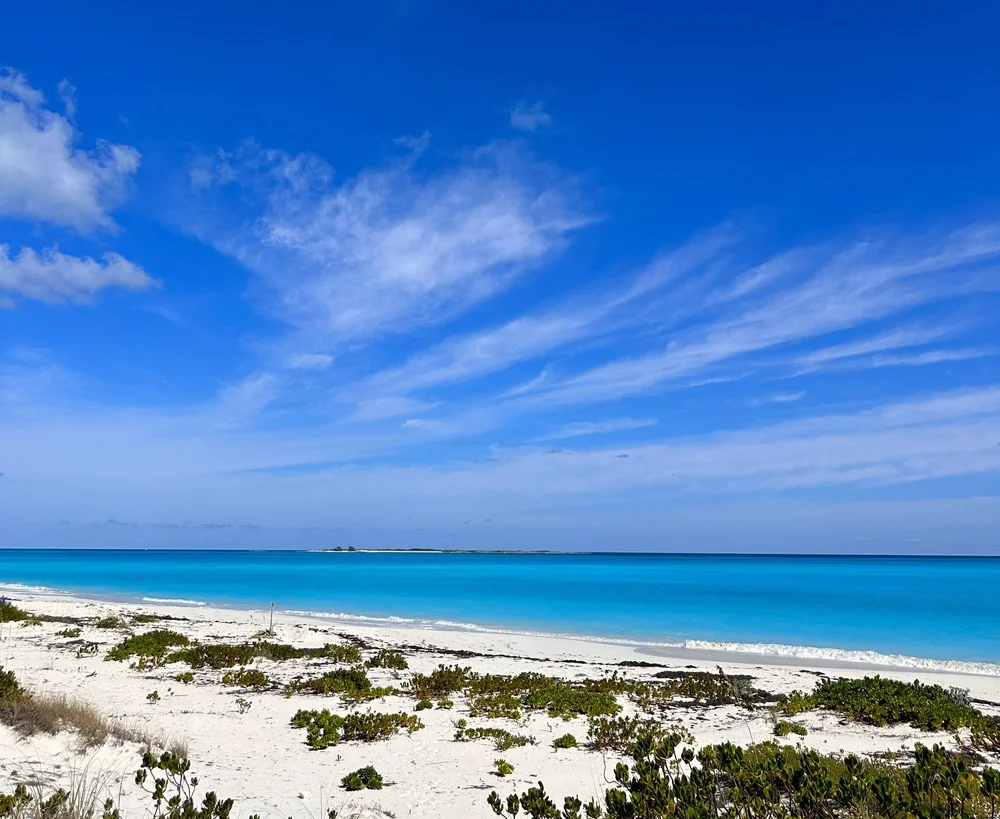 Tims on the Bay: Exuma’s newest ‘Must-Try’ Restaurant - Exuma Exclusives