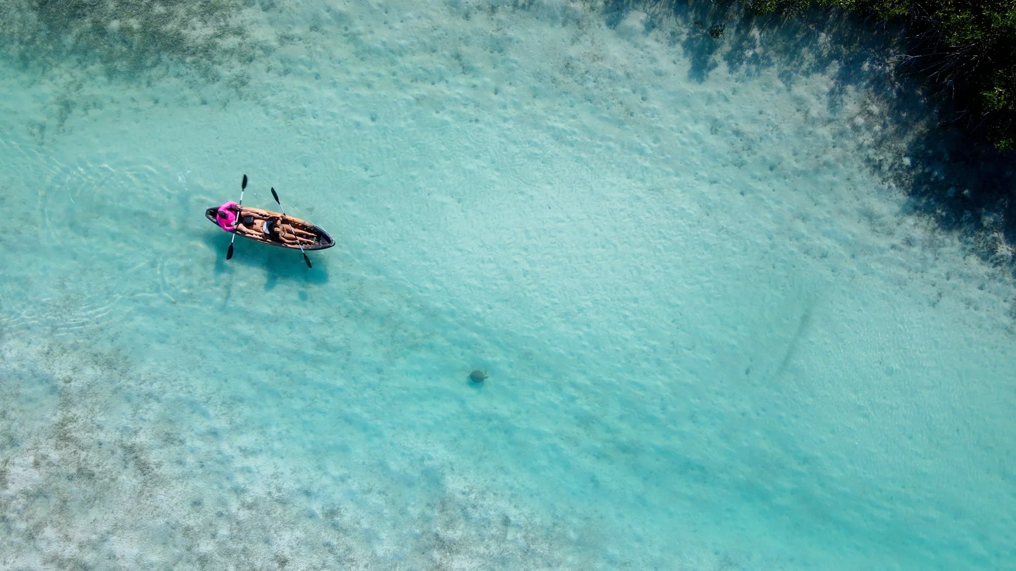 Places to Kayak in Exuma - Exuma Exclusives