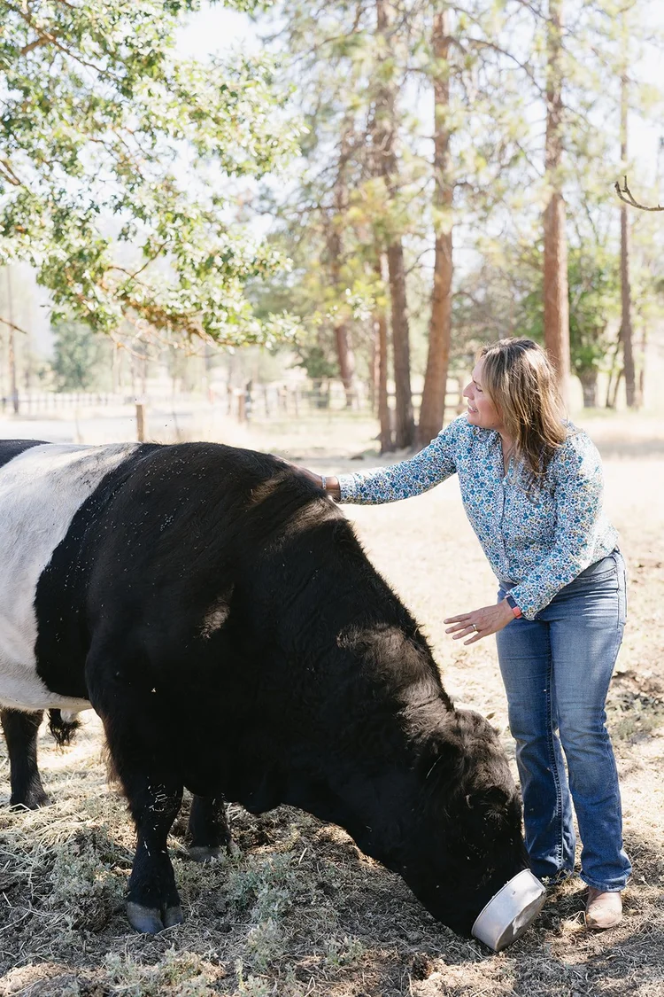 Belted Galloways – Learn More about Beltie Beef | Experience Premium ...