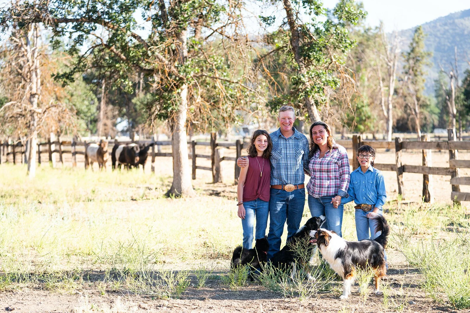 Crown H Cattle Company