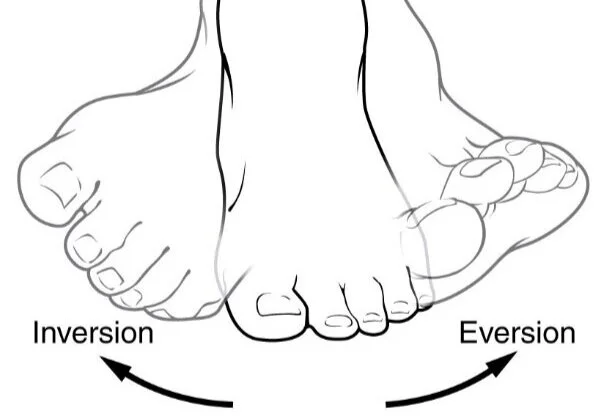 Subtalar Inversion Eversion