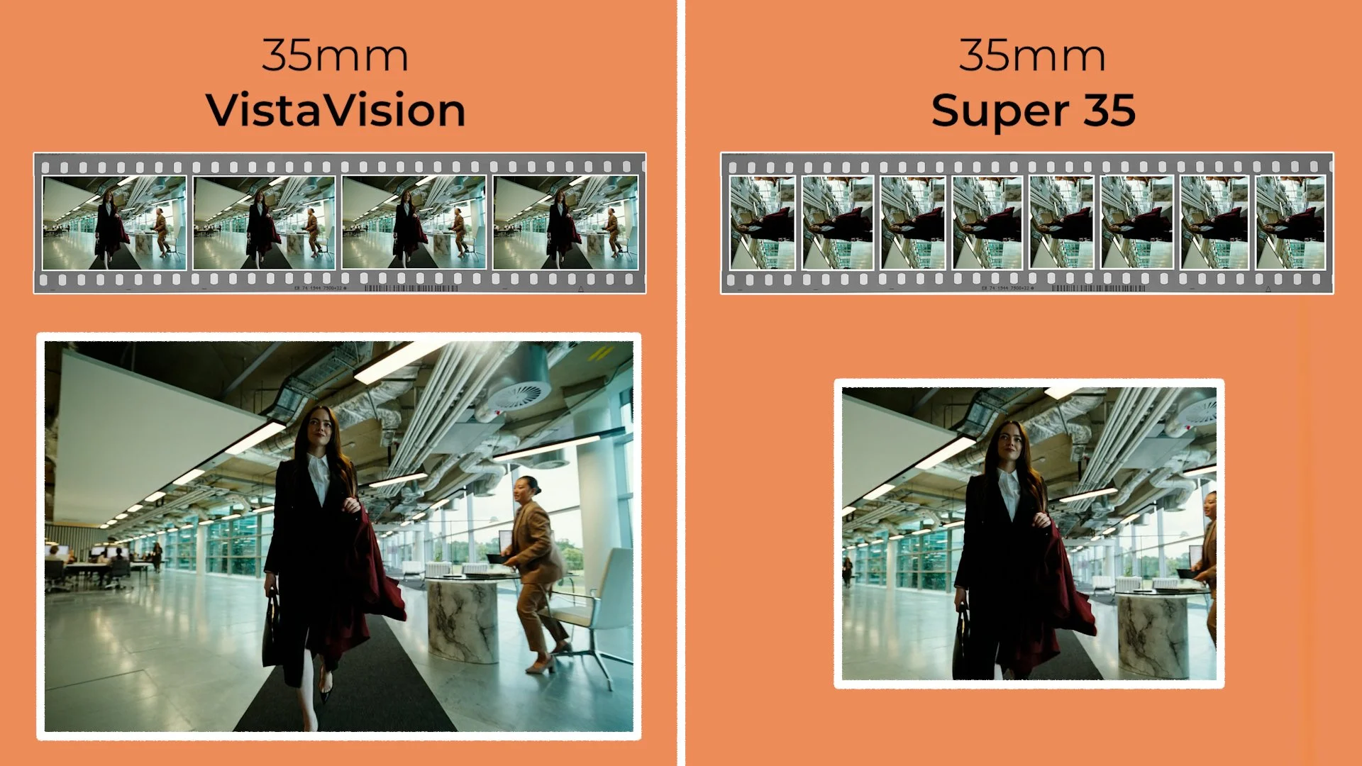 What Is VistaVision? — In Depth Cine