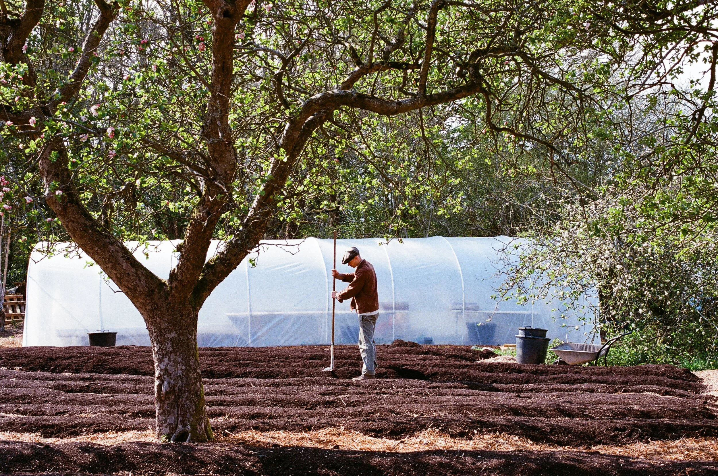 Blog 3 — Worthy Earth