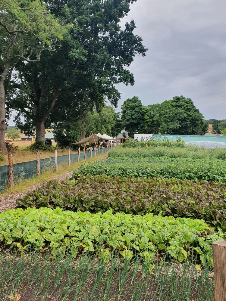 About — Worthy Earth