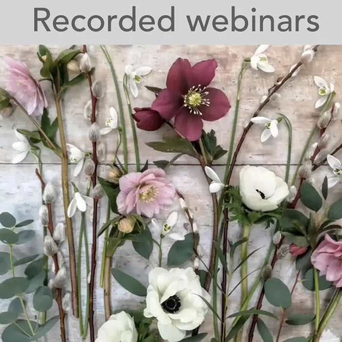 Plants, Gardens, Landscape