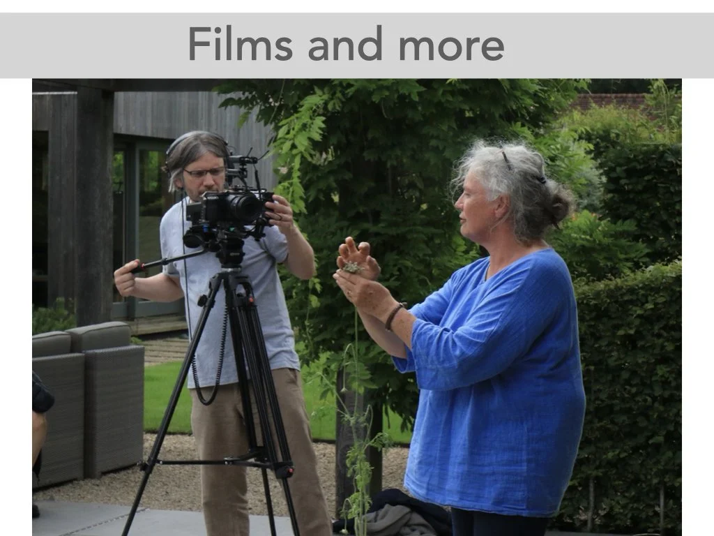 Plants, Gardens, Landscape