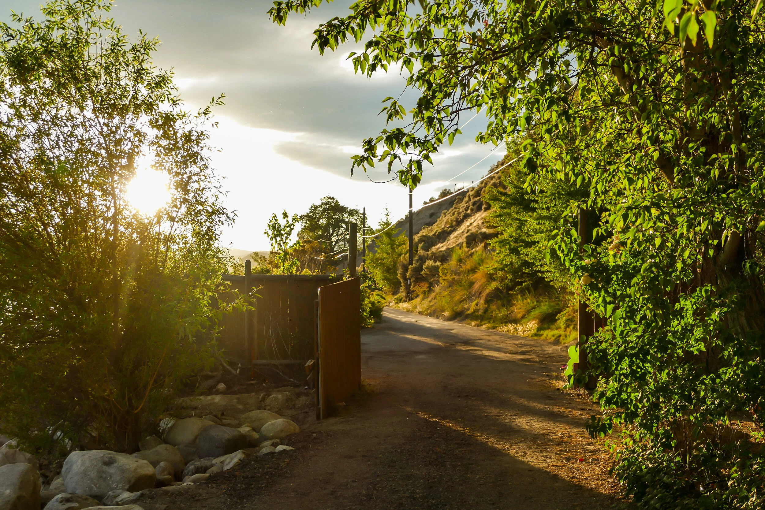 Gallery 2 — Hoot's Hideout