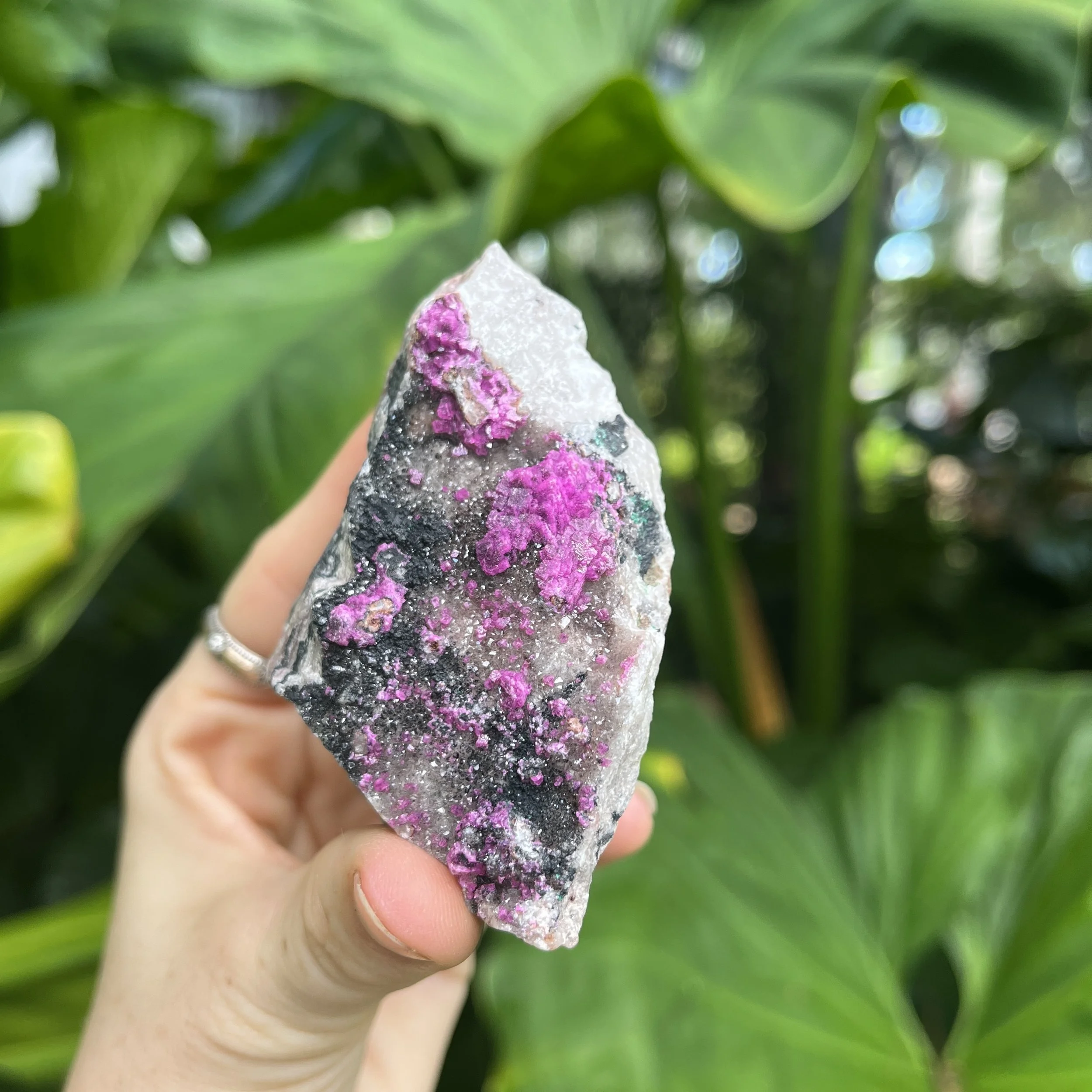 Cobalt Calcite Raw Crystal Specimen Ethically Sourced from Democratic ...