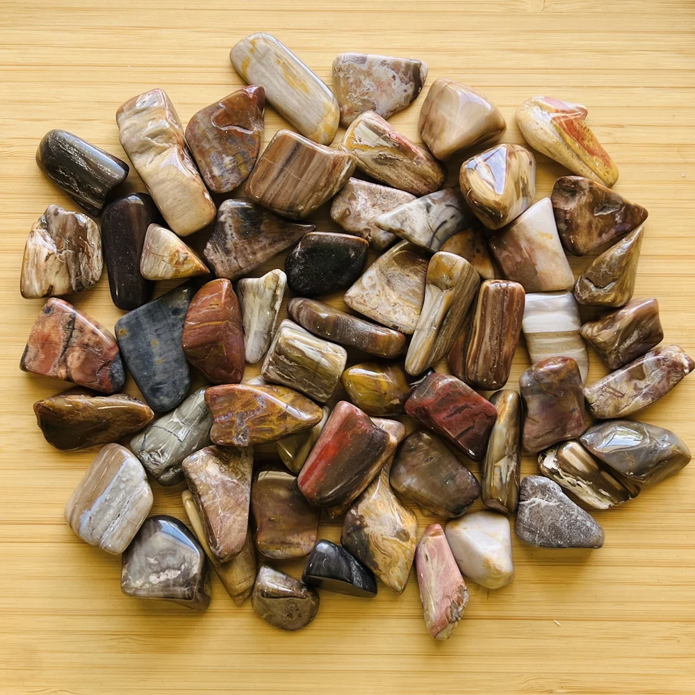 Tumbled Petrified Wood