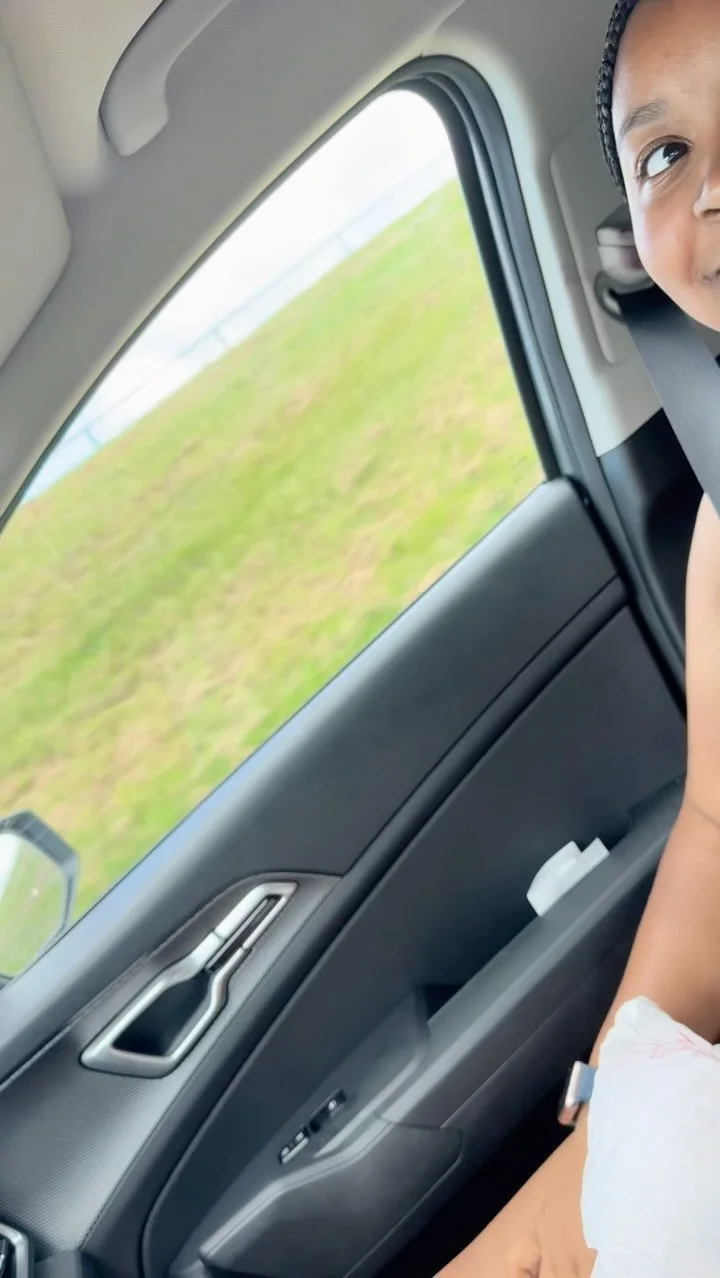 Black Woman-owned bakery in Chicago specializing in custom cakes ...