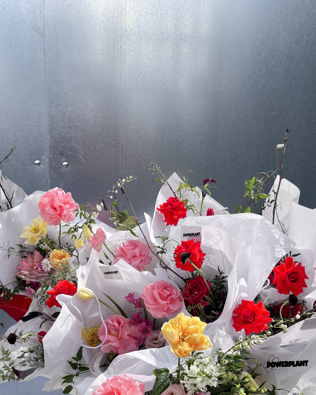 Valentines 14.02.26 | Order Flowers Now – Celebrate Love — POWERPLANT