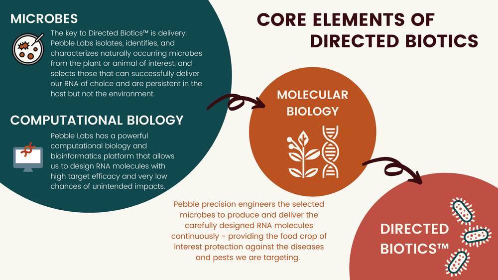 Directed Biotics — Pebble Labs
