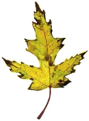 Carla Stine's "Sidewalk Stories” In Philadelphia Inquirer Sunday ...