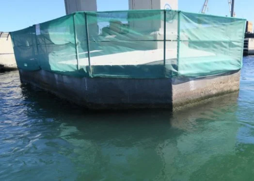 PTA Rail Bridge ICCP | Marine & Civil Maintenance
