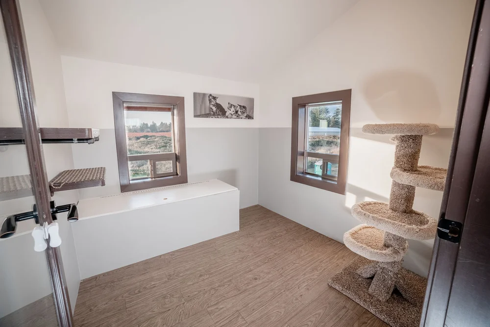 Premium Cat Boarding in Pitt Meadows, BC — Alley Cats Hotel