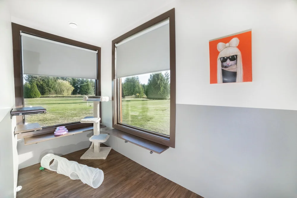 Premium Cat Boarding in Pitt Meadows, BC — Alley Cats Hotel