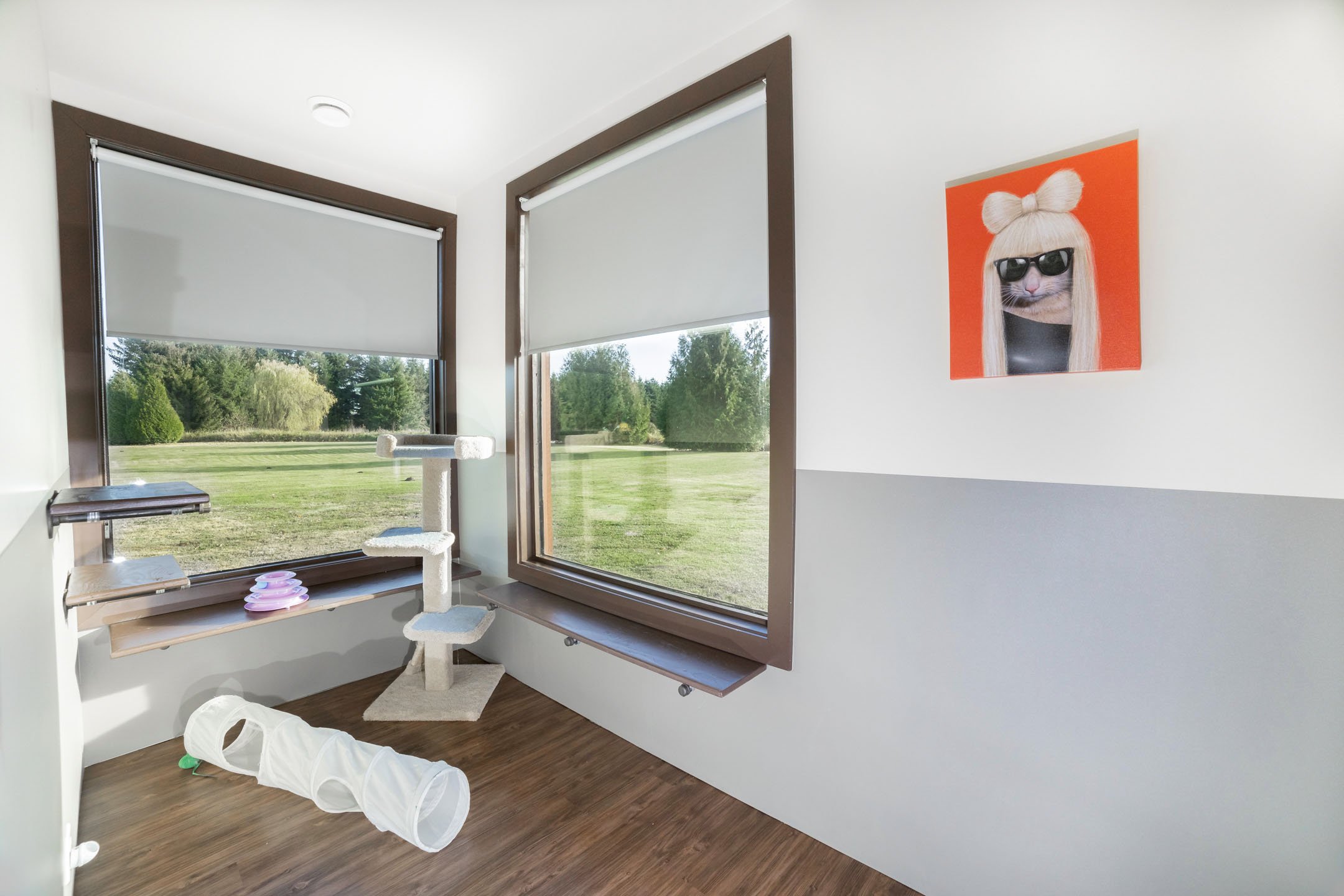 Premium Cat Boarding in Pitt Meadows, BC — Alley Cats Hotel