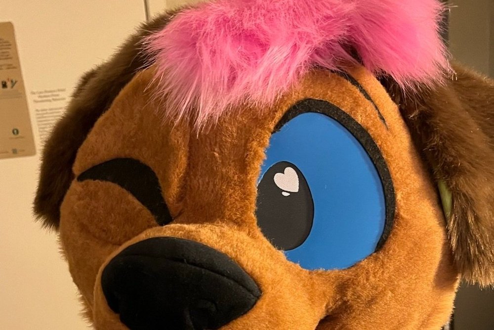 Fursuit Prices — Oakley's Creations Fursuits