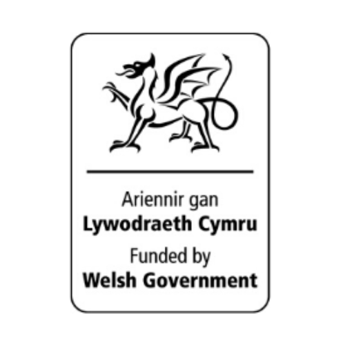 The Birth Partner Project