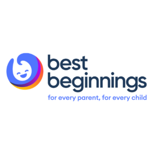 The Birth Partner Project