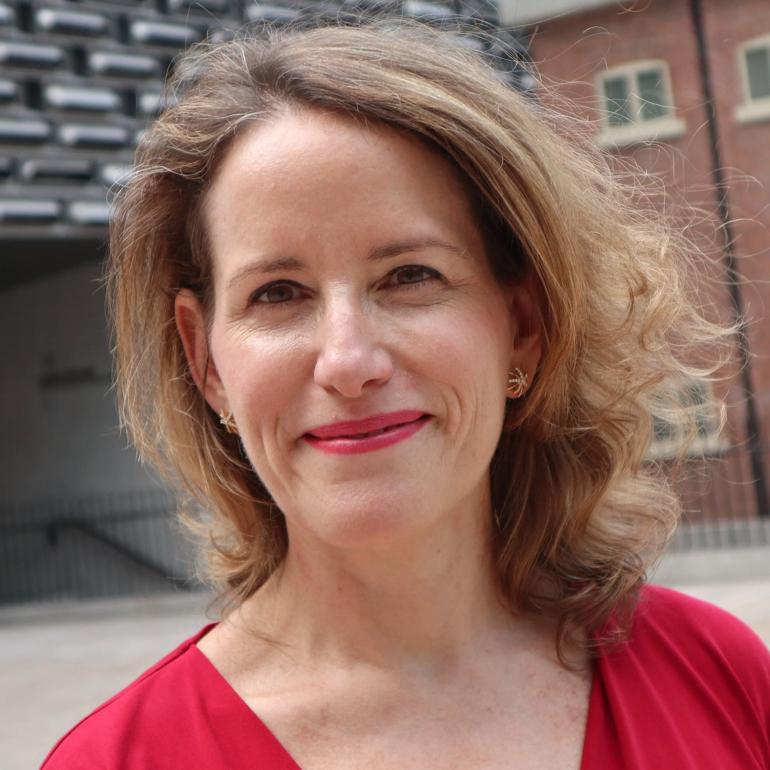 Diana David — Financial Times Board Director Programme