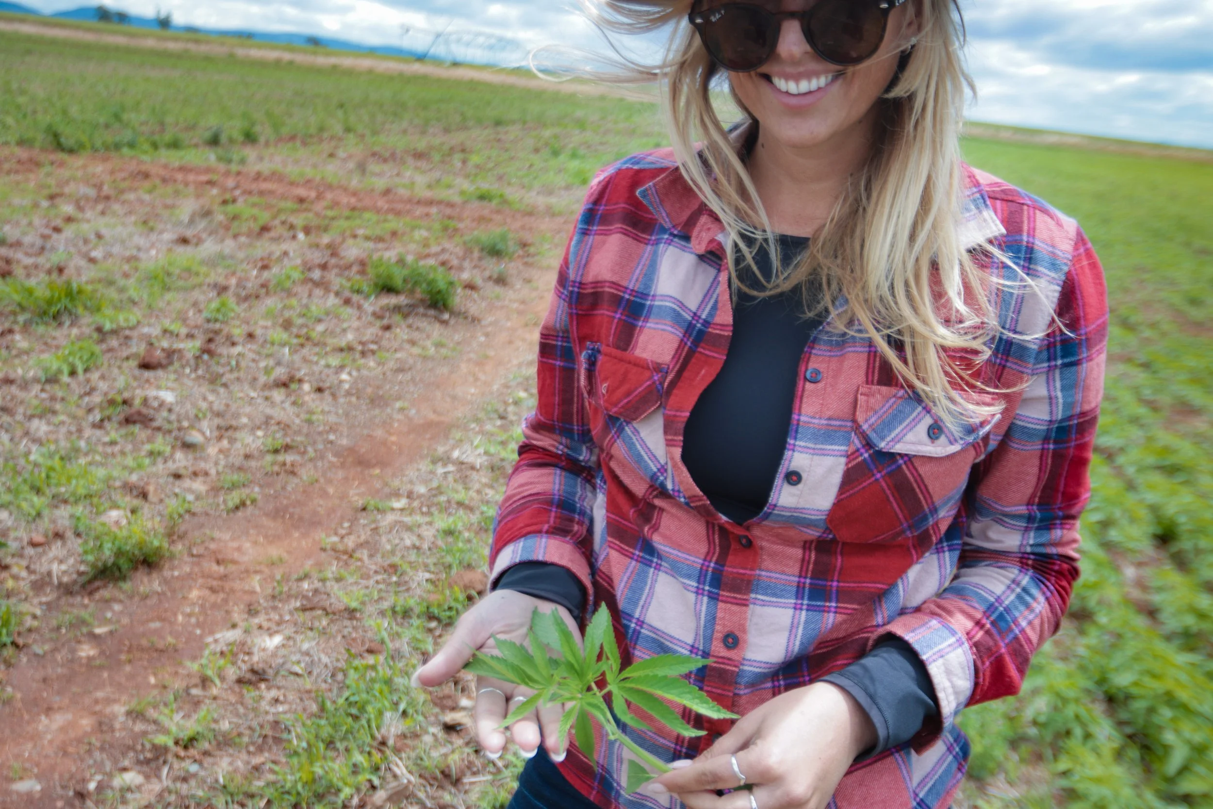 Hemp Growers Forum — iHemp NSW Association