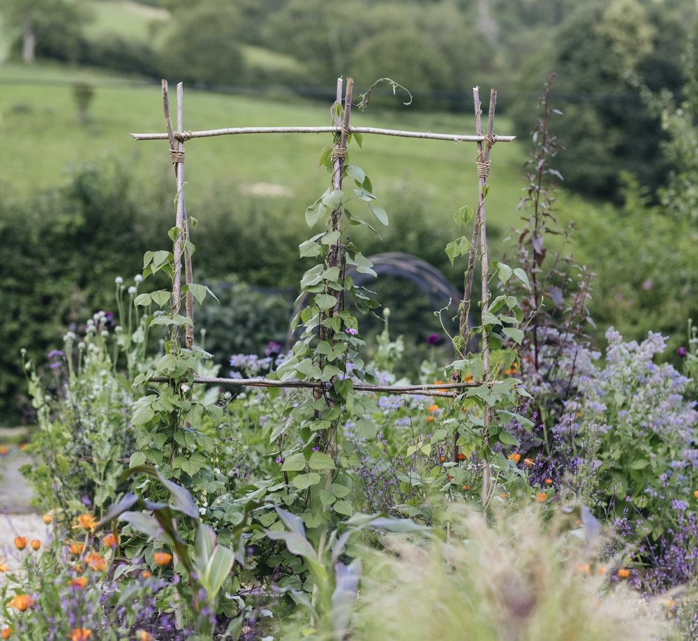 Shop — Damson Farm