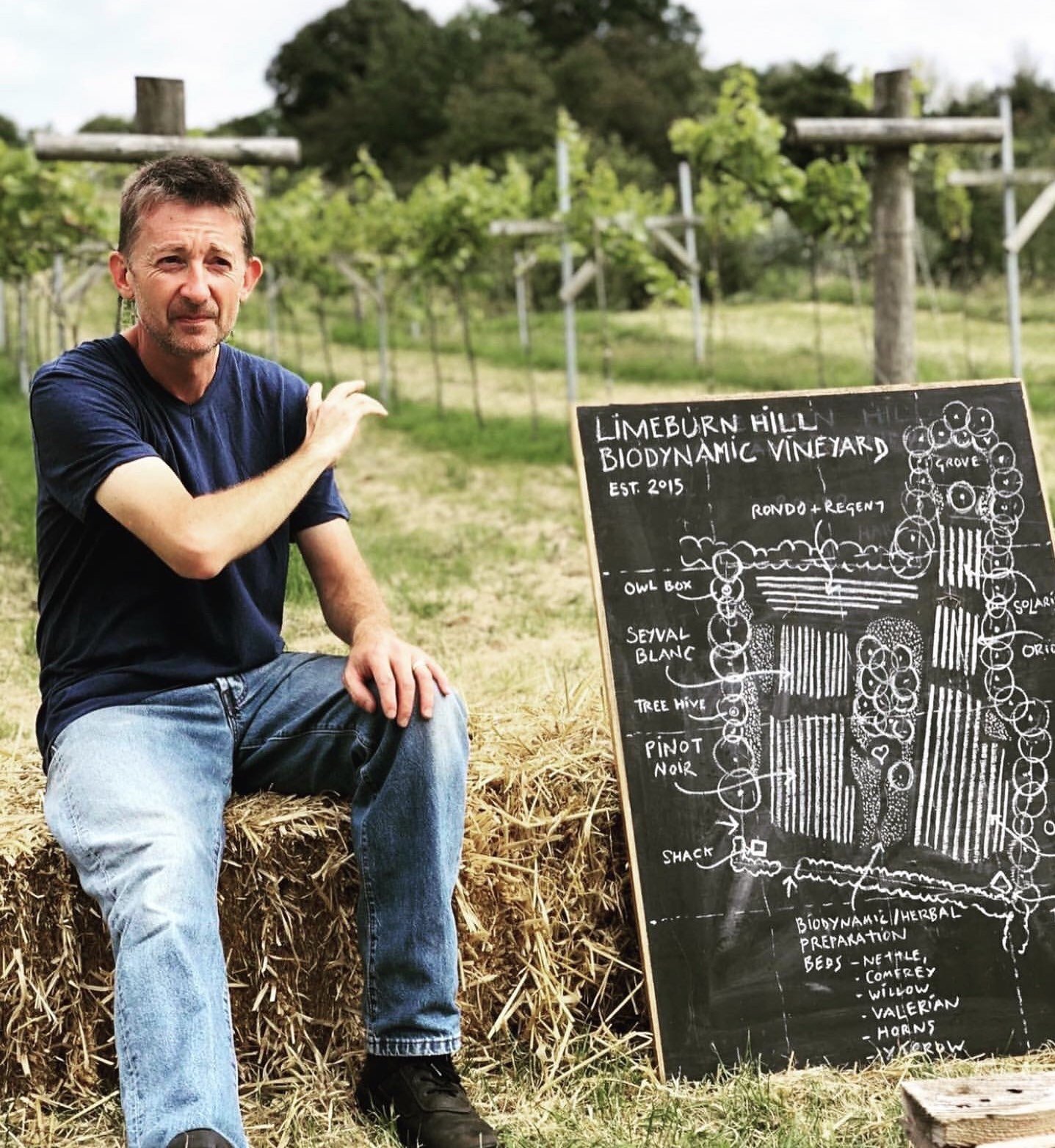 Shop — Damson Farm