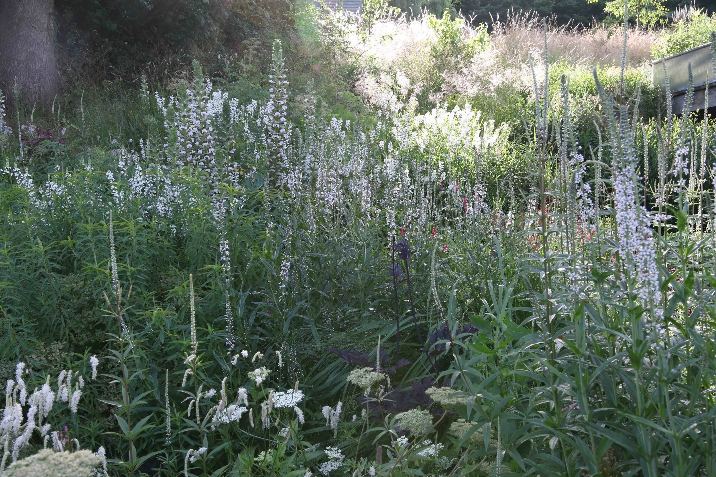 Shop — Damson Farm