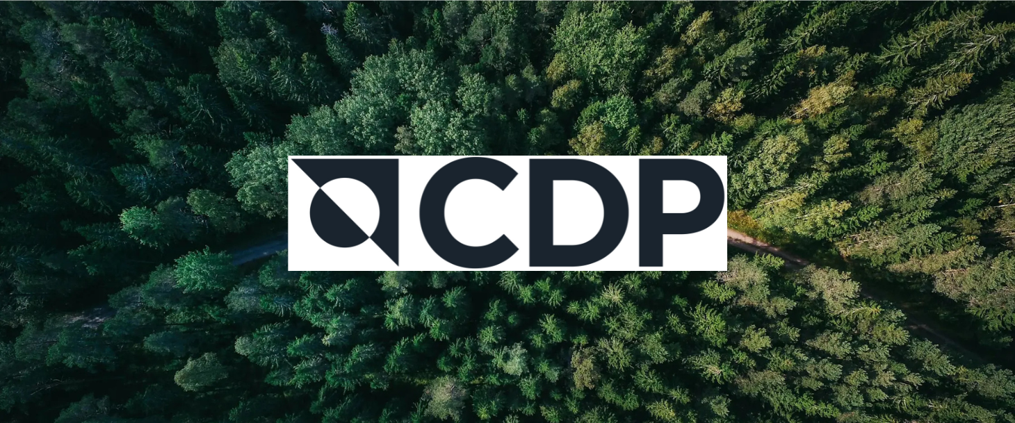 What’s New in CDP for 2025: Key Updates and Impacts — Orbis Advisory ...