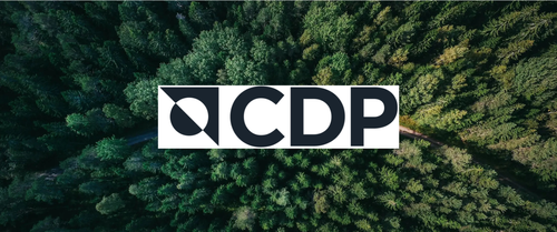 What’s New in CDP for 2026: Key Updates and Impacts — Orbis Advisory ...