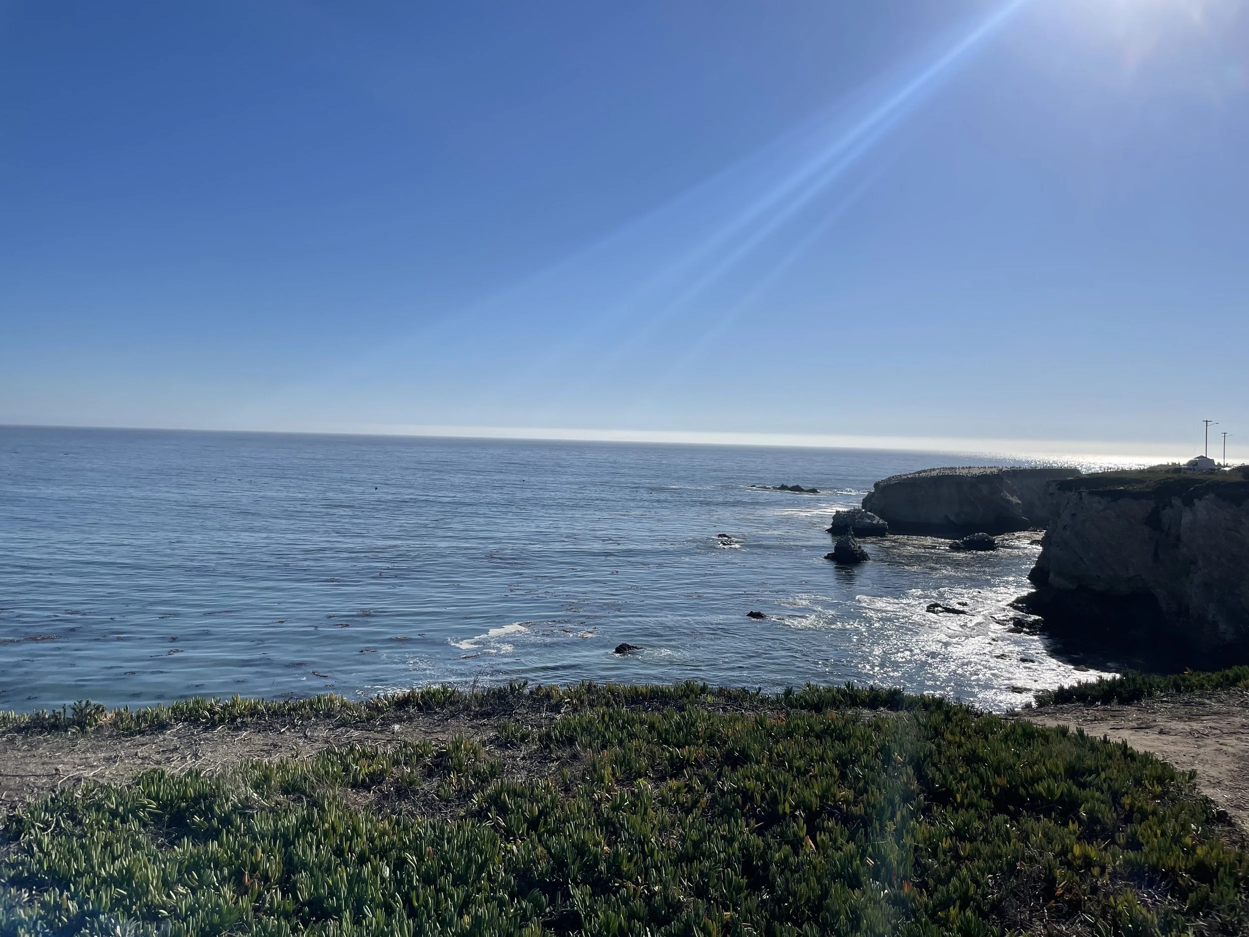 Mental Skills Training Plan — Endurance: A Sports and Psychology Center