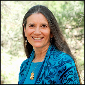 Life After Healing: An Interview with Sandra Ingerman — Dr. Cat