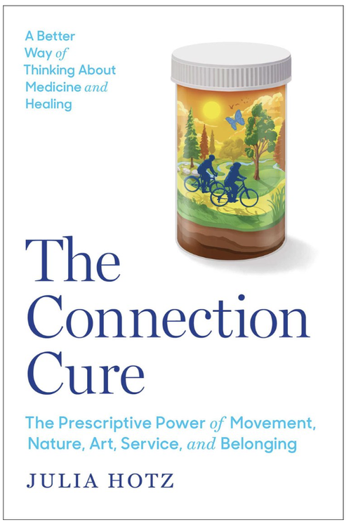 THE CONNECTION CURE Book — Julia Hotz