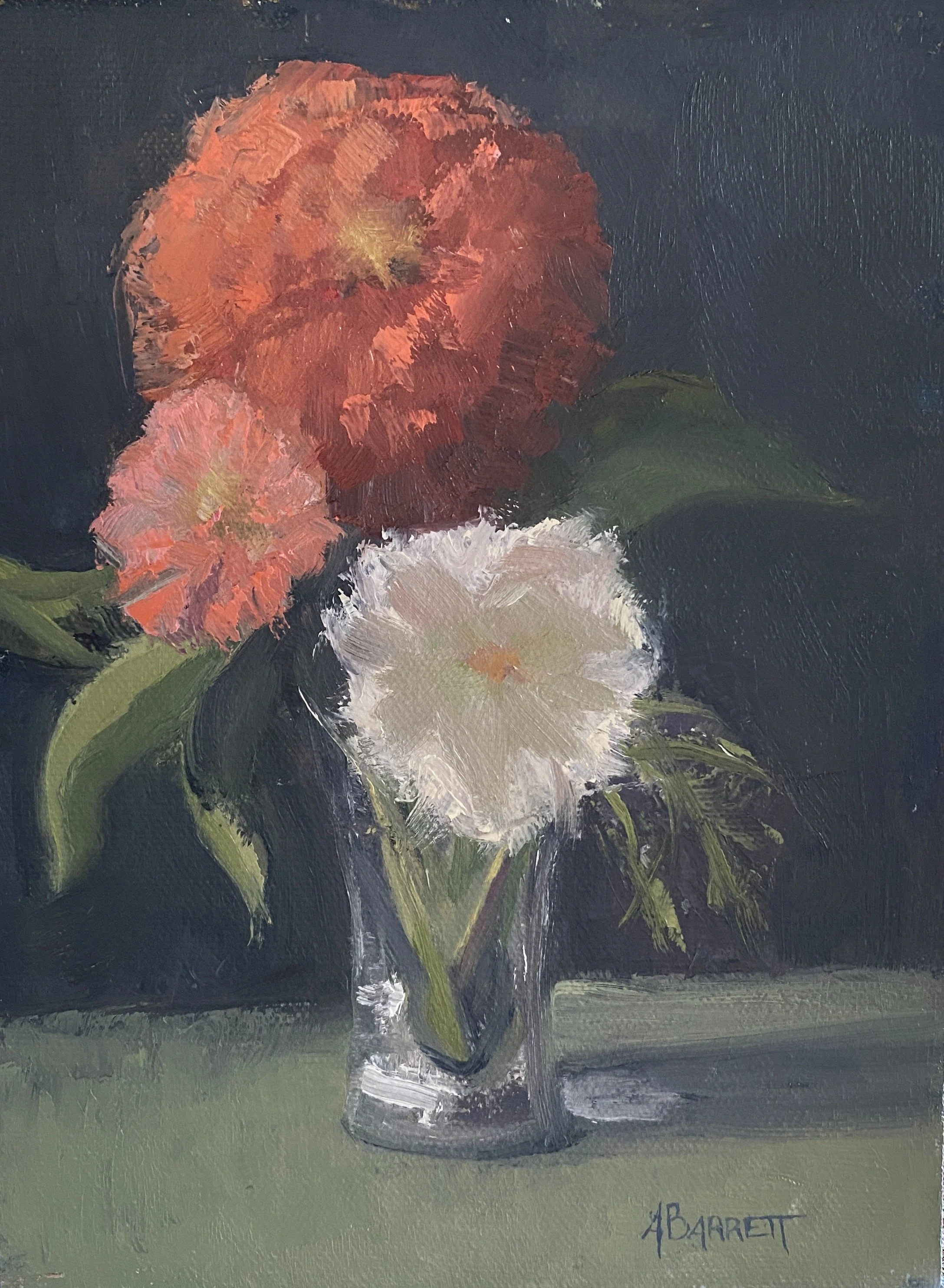 GALLERY — Rogue Begonia