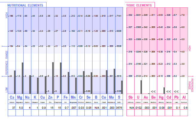 The Incredible Benefits of Hair Tissue Mineral Testing — Nourished by ...