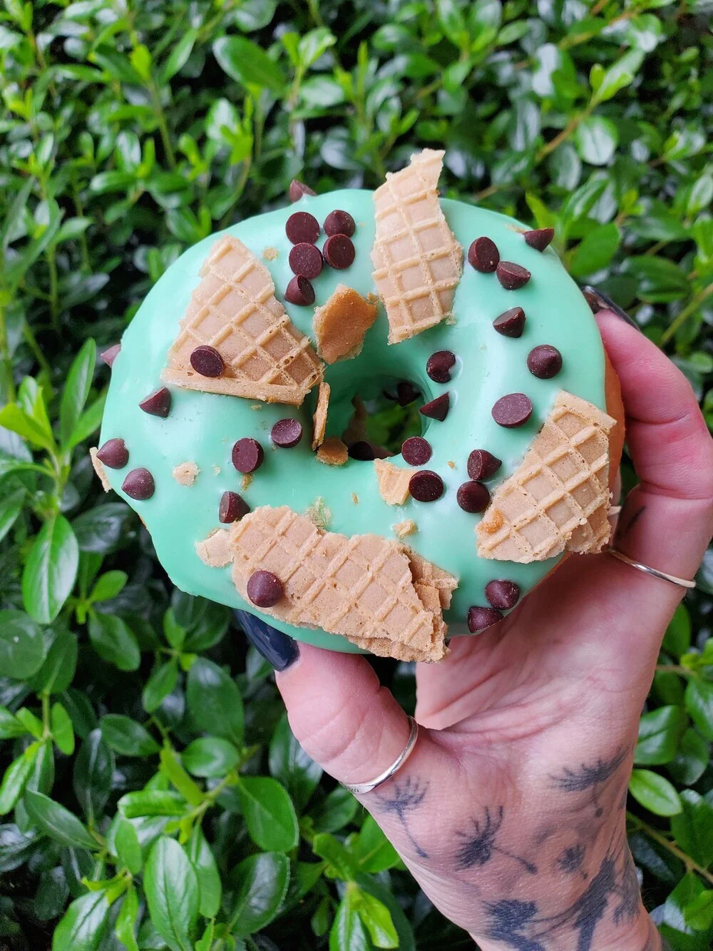 INGREDIENTS — Doe Donuts + Ice Cream