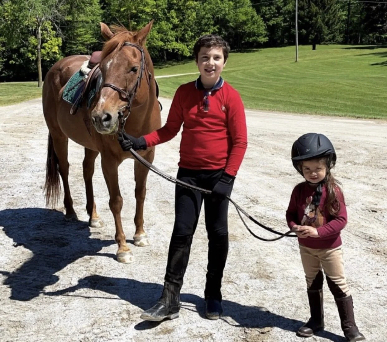 Beginner School Lessons — Matador Farm