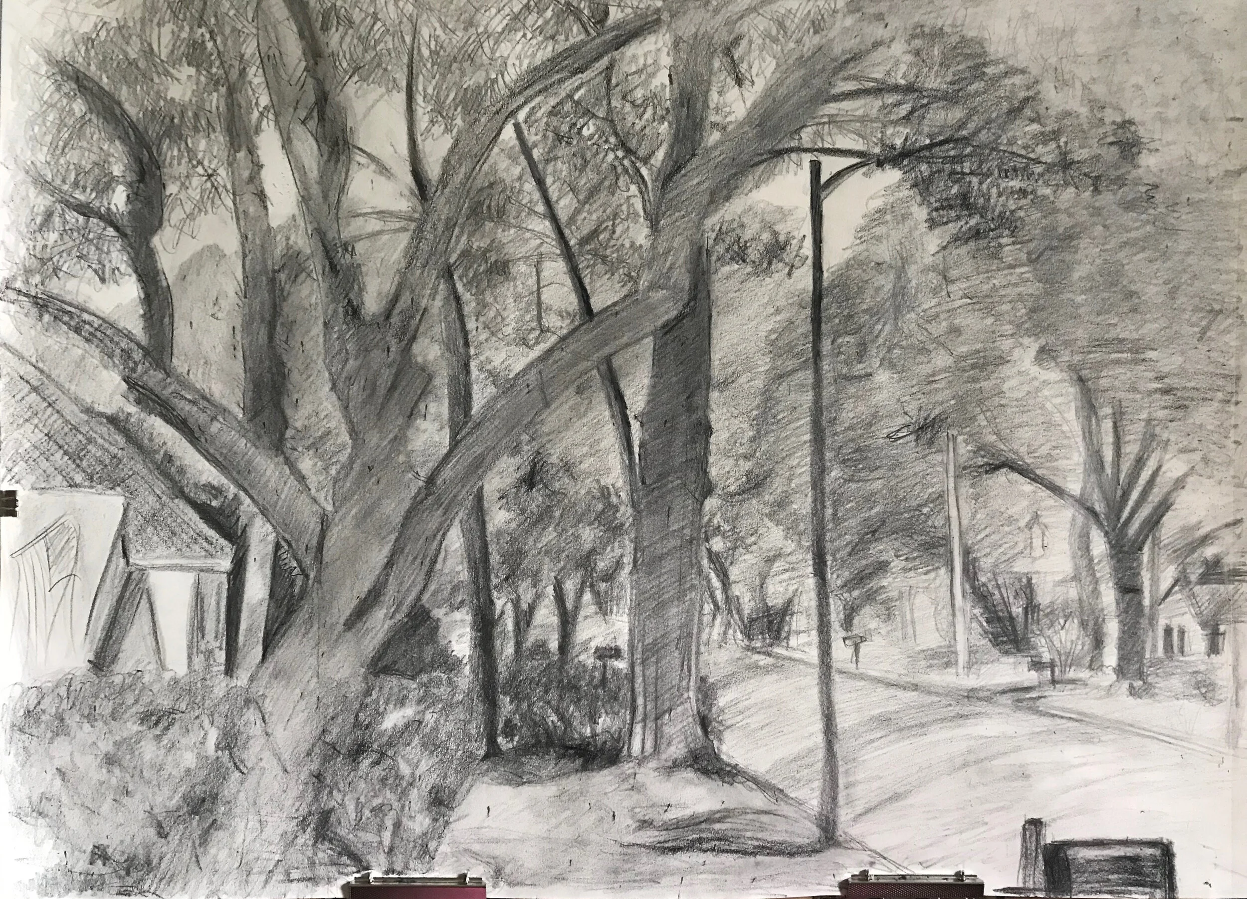 Observational Drawing Landscape