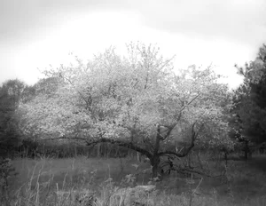 Landscape — JayemmBeeMontreal Creative Photographer | Jayemmbee - Fine ...